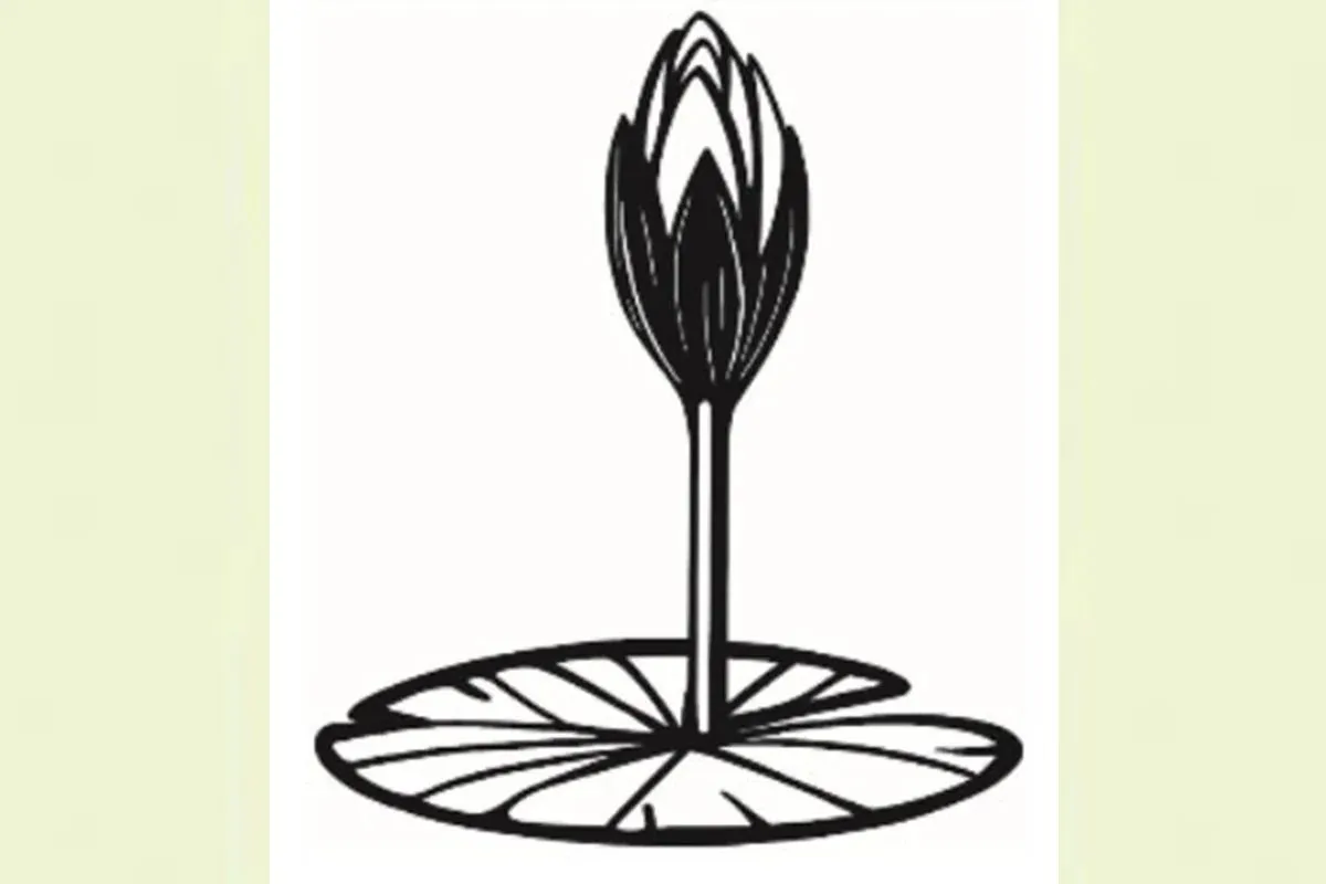 ইসির ওয়েবসাইটে যুক্ত হলো এনসিপির প্রতীক ‘শাপলা কলি’র স্কেচ